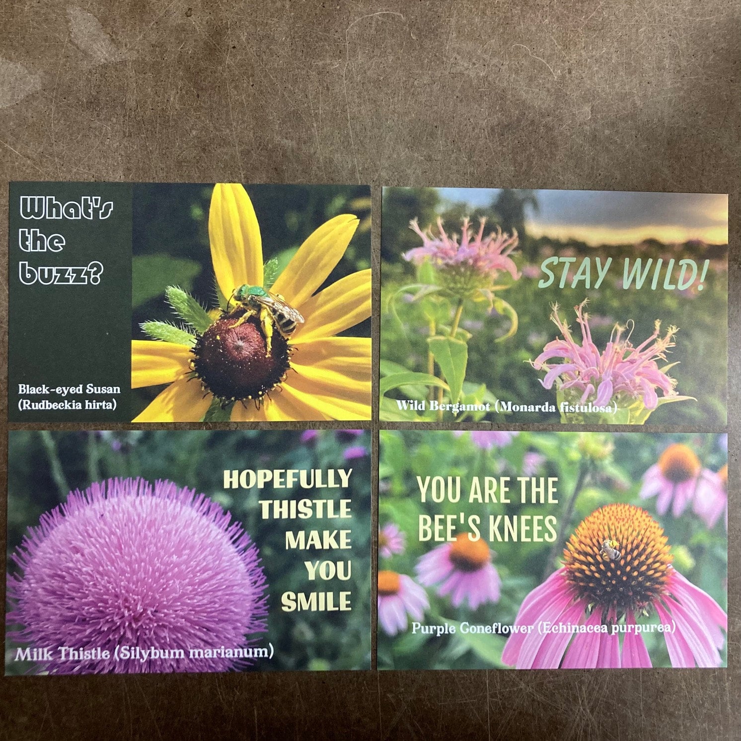 Wildflower Postcards - BEB | Wildflour Grocer